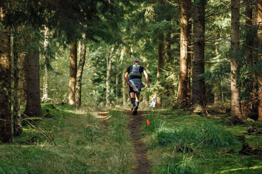Gribskov Trail 2025 | Nationalpark Kongernes Nordsjælland
