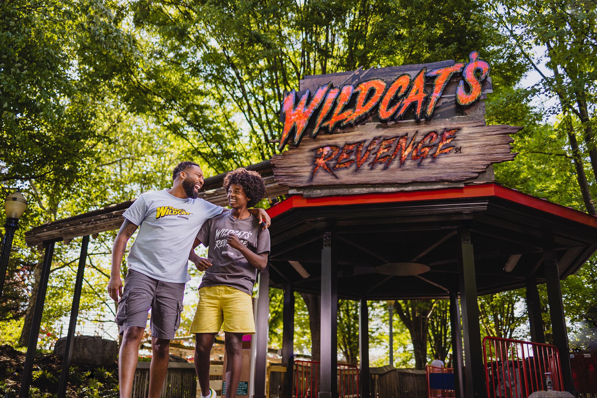Wildcat's Revenge - Dark Coaster | Hersheypark